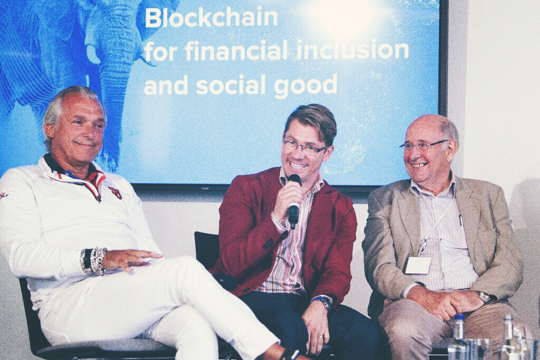 Gallery | Nick Ayton